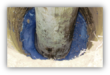 ConduDisc - Earthing Services
