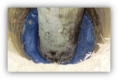 ConduDisc - Earthing Services