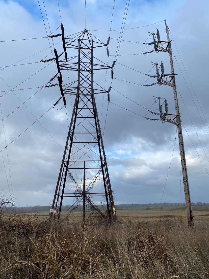 Overhead Line (OHL) personnel safety - Earthing Services
